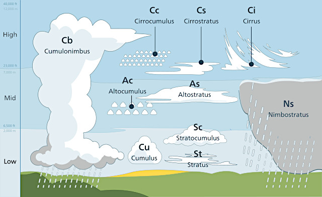 Cumulonimbus Clouds - Tropical Cyclogenesis - NewUnivStudies.org